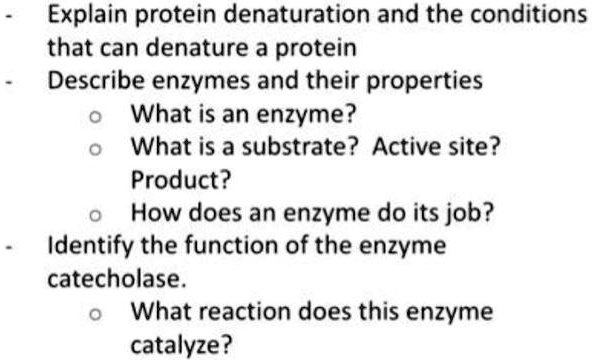 Solved Explain Protein Denaturation And The Conditions That Can