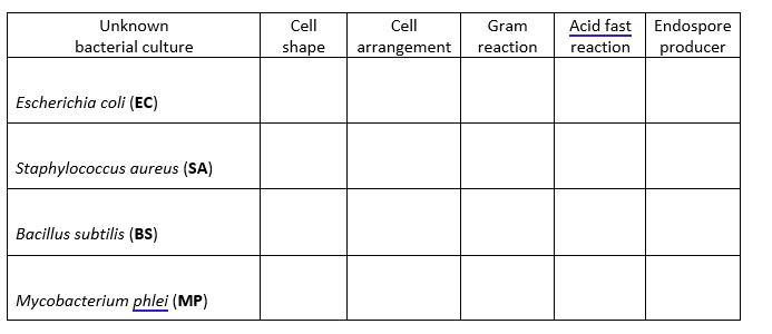 unknown cell shape cell gram reaction acid fast endospore reaction ...