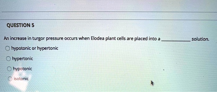 SOLVED: QUESTION 5 An increase in turgor pressure occurs when Elodea ...
