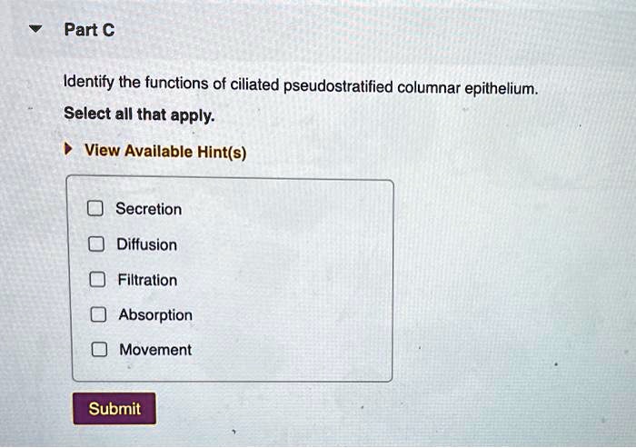 part c identify the functions of ciliated pseudostratified columnar epithelium select all that ...