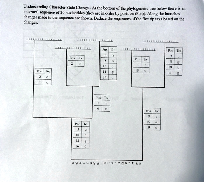 Understanding Character State Change - At the bottom of the ...