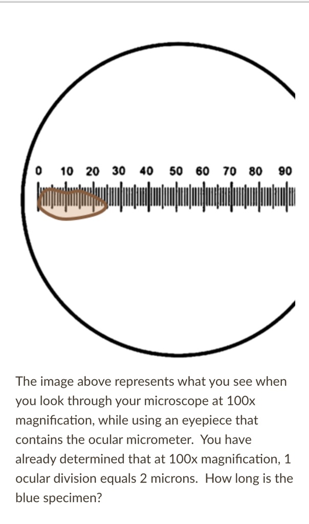 SOLVED: 10 20 30 40 50 60 70 80 90 Hllllh The image above represents ...