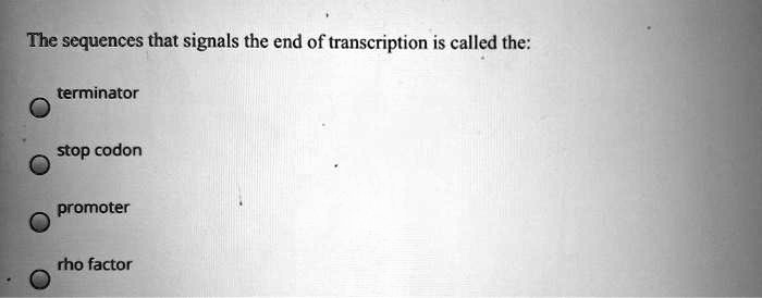The sequences that signals the end of transcription is called the ...