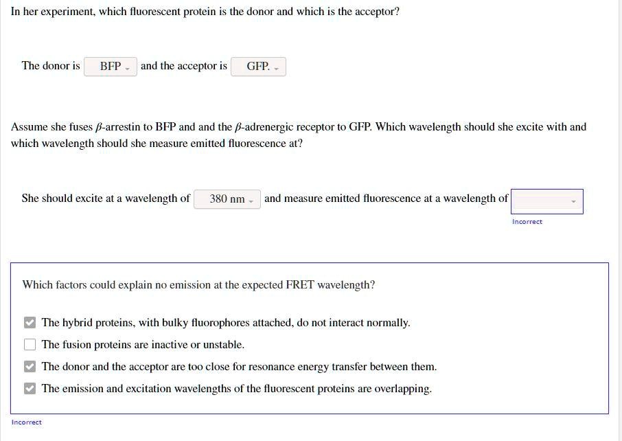 In her experiment, which fluorescent protein is the donor and which is ...