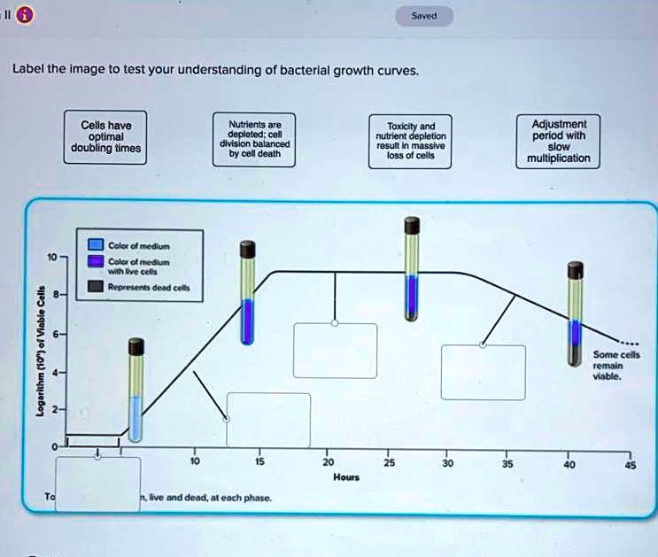 SOLVED: 0 " Suved" Label the Image to test your understanding of ...