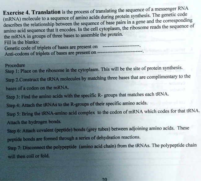 SOLVED: Exercise 4. Translation is the process of translating the ...