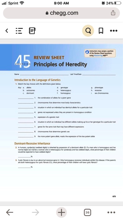 SOLVED: Sprint 8:00 AM 24% at chegg.com M ... 45 REVIEW SHEET ...