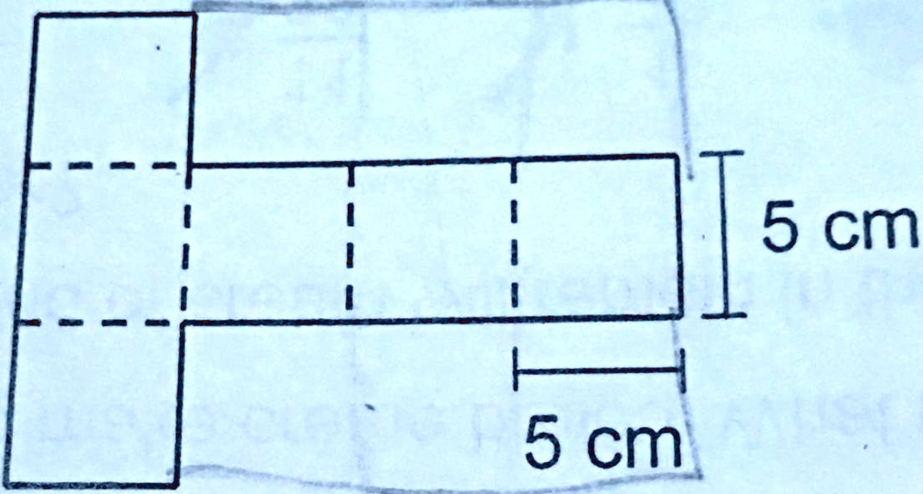 SOLVED: 'Ann has a paper cutout. she will fold it along the dashed ...