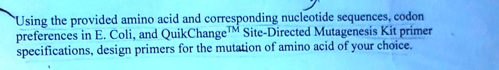 using the provided amino acid and corresponding nucleotide sequences ...