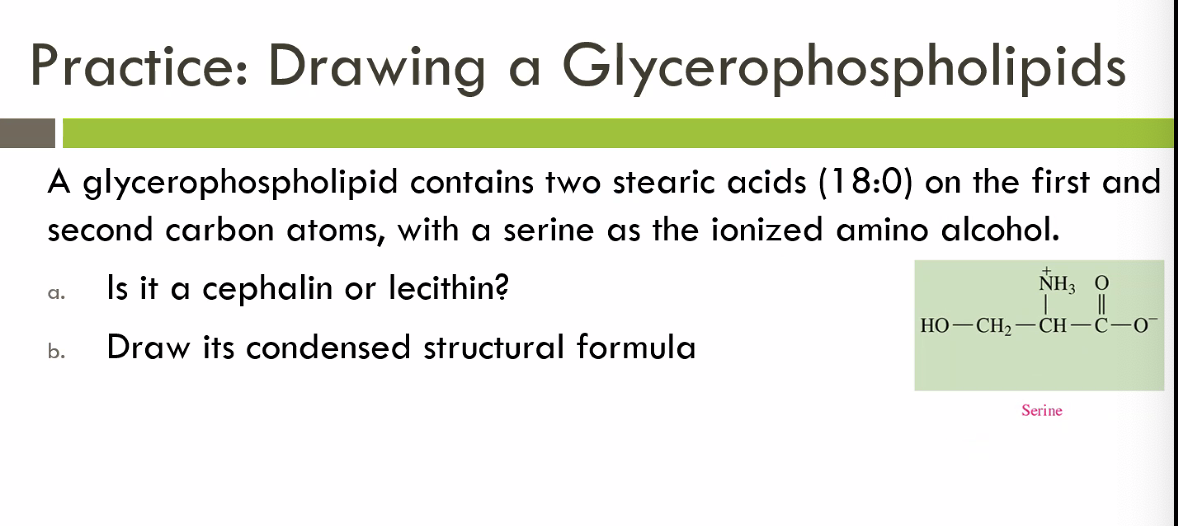 [GET ANSWER] Practice: Drawing a Glycerophospholipids A ...