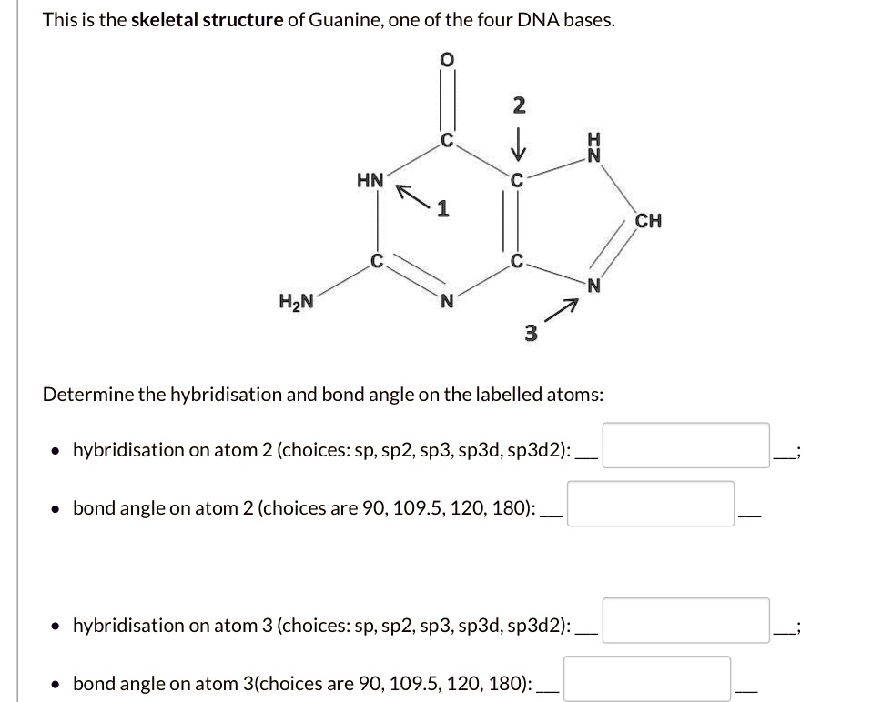 this is the skeletal structure of guanine one of the four dna bases 2 ...