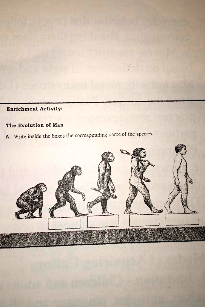 Evolution Of Man With Names