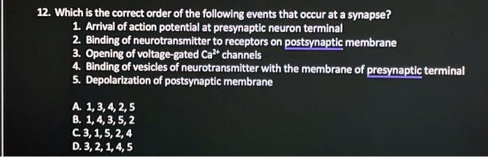 12. Which is the correct order of the following events that occur at a ...