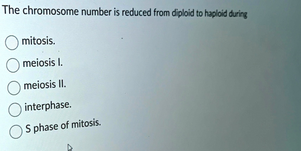 The chromosome number is reduced from diploid to haploid during mitosis ...