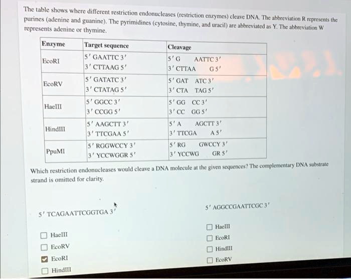 SOLVED: The table shows where different restriction endonucleases (restriction enzymes cleave ...