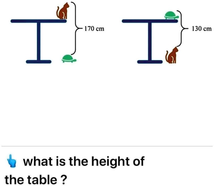 170 cm 130 cm what is the height of the table