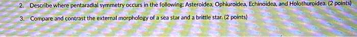 SOLVED: Describe where pentaradial symmetry occurs in the ...