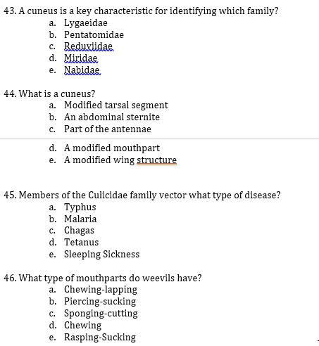 43a cuneus is key characteristic for identifying which family lygaeidae ...