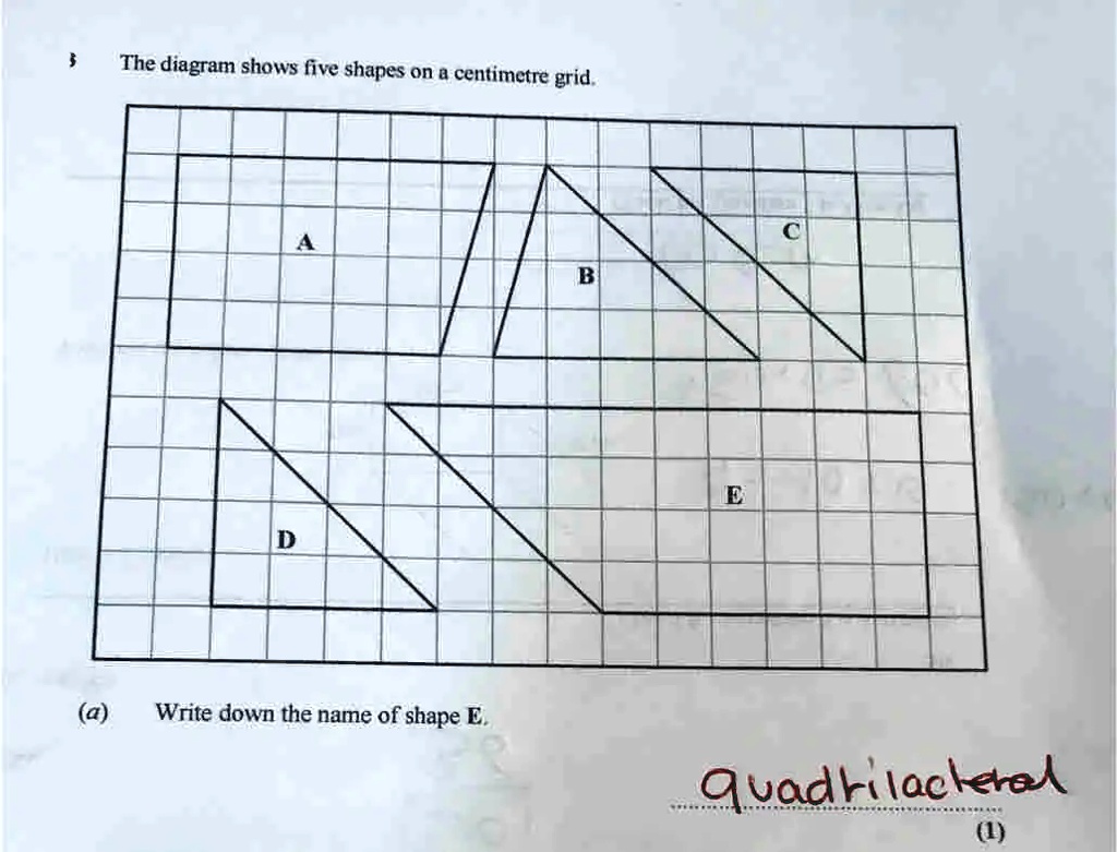 SOLVED: The diagram shows five shapes on a centimetre grid. (a) Write down the name of shape E ...