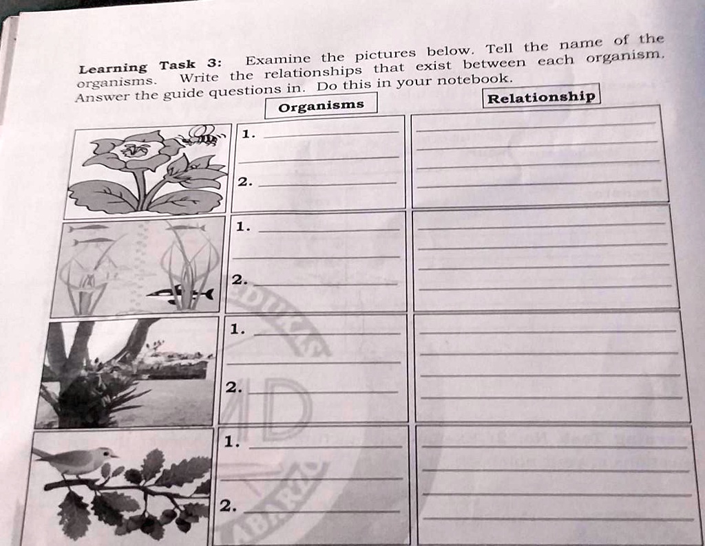 eximine the picture below asap po pls name of the below tell the ...