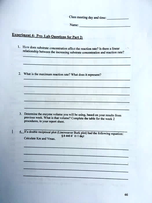 Solved How Does Substrate Concentration Affect The Reaction Rate Is