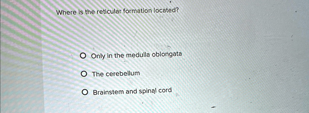 Where is the reticular formation located? O Only in the medulla ...