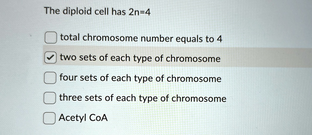 the diploid cell has 2n4 total chromosome number equals to 4 two sets ...