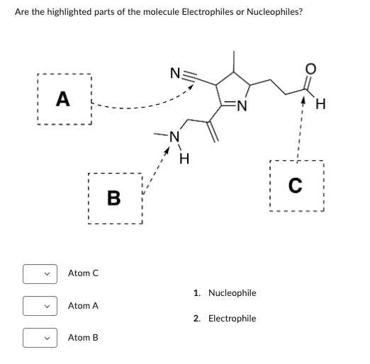 Are the highlighted parts of the molecule Electrophiles or Nucleophiles? Atom C Atom A 1 ...