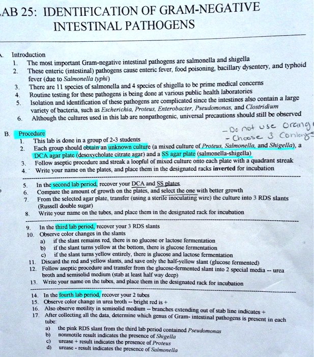 ab 25 identification of gram negative intestinal pathogens introduction ...