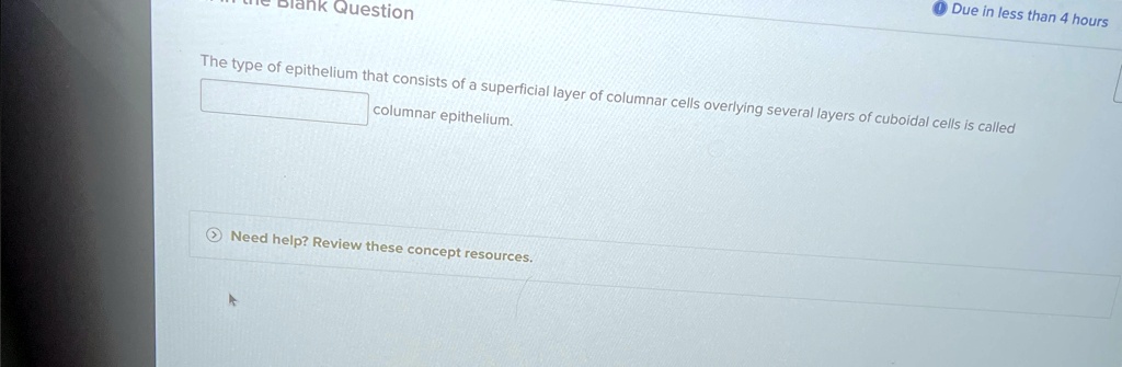 Blank Question Due in less than 4 hours The type of...