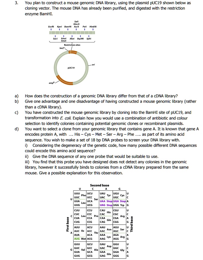 SOLVED: You plan to construct a mouse genomic DNA library, using the ...
