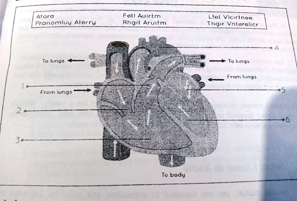 SOLVED: 'Activity 5: Name This! Objectives: Identify the parts of the ...