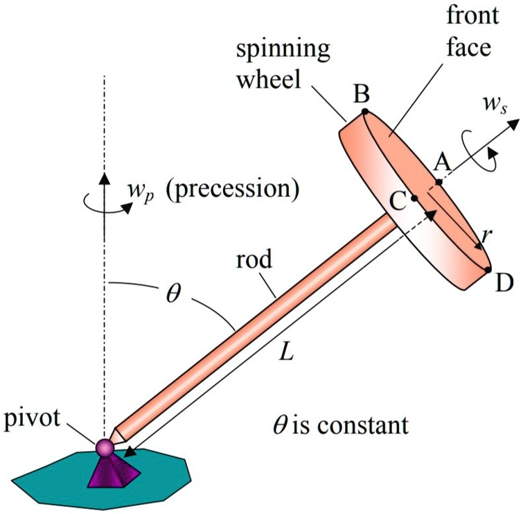 pivot front spinning wheel face B ws wp (precession) A C rod r θ L θ is ...
