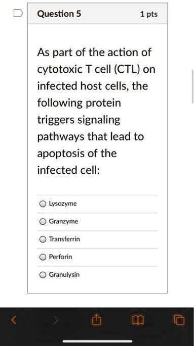question 5 1 pts as part of the action of cytotoxic t cell ctl on ...