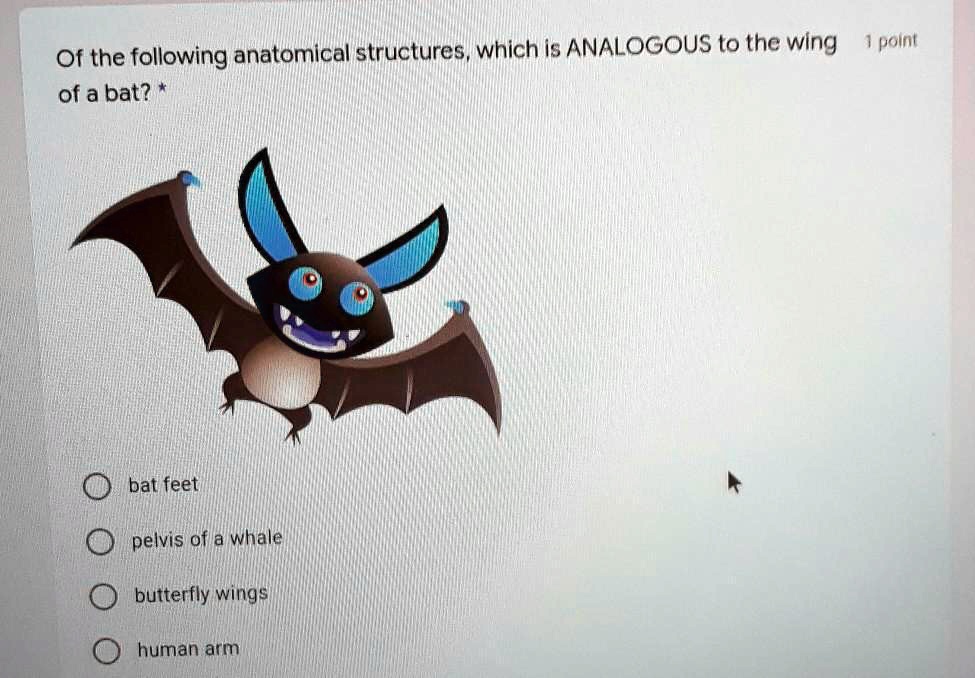 Of the following anatomical structures, which is ANALOGOUS...