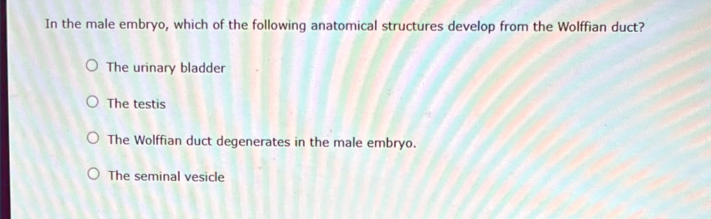 In the male embryo, which of the following anatomical structures ...