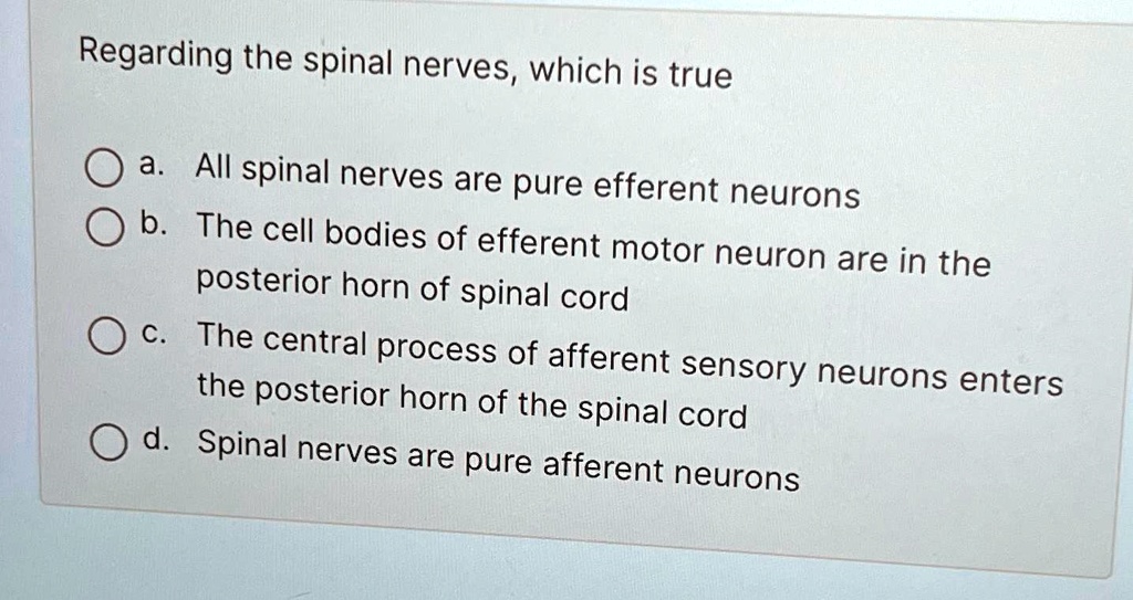 SOLVED: Regarding the spinal nerves, which is true a. All spinal nerves ...