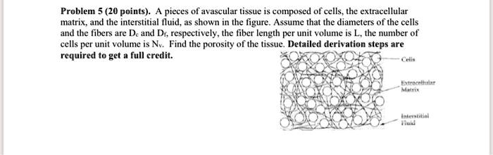 Problem 20 points pieces of avascular tissue is composed of...