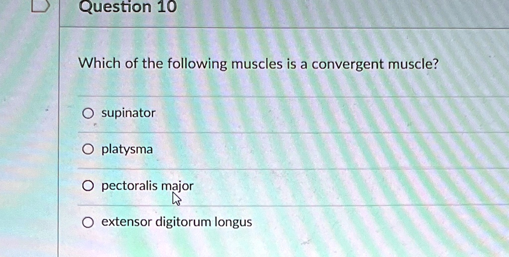 Question 10 Which of the following muscles is a convergent muscle? O ...