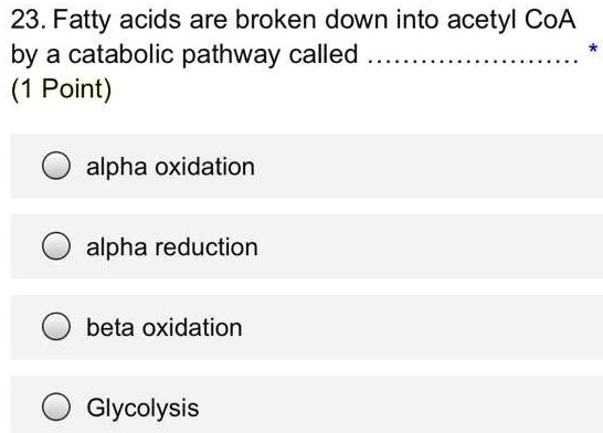 SOLVED:23 . Fatty acids are broken down into acetyl CoA by a catabolic ...