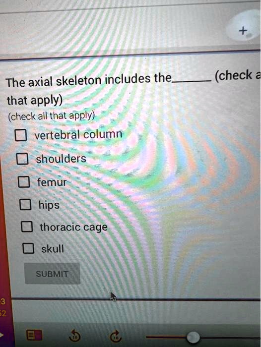 The axial skeleton includes the(check all that apply) (check all that ...