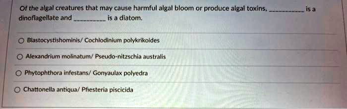 SOLVED: Of the algal creatures that may cause harmful algal bloom Or ...