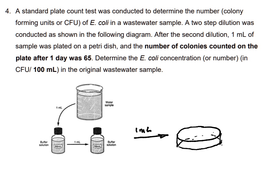SOLVED: 4. A standard plate count test was conducted to determine the ...
