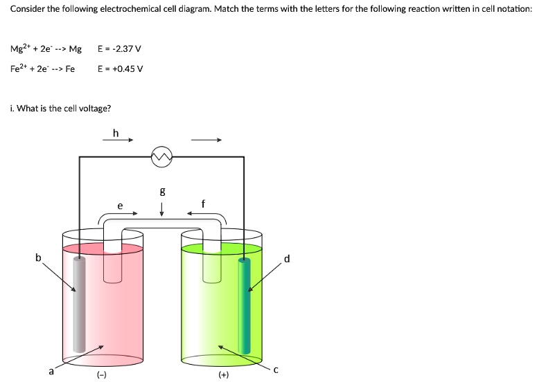 label each part of the galvanic battery. Consider the following ...