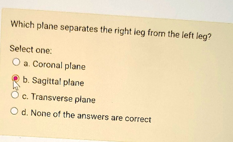 SOLVED: 'lab 1 questions Which plane separates the right leg - from the ...