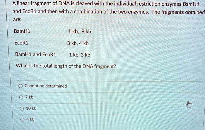 A linear fragment of DNA is cleaved with the individual restriction ...