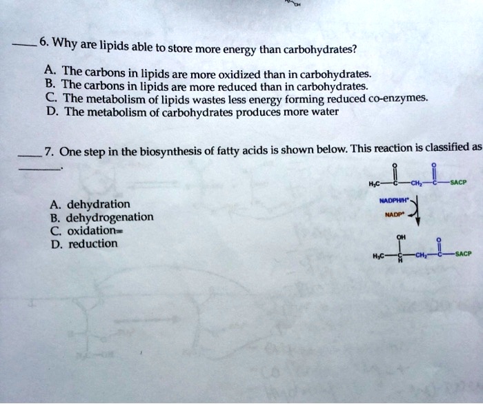why are lipids able to store more energy than carbohydrates the carbons ...