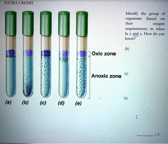 SOLVED: EXTRA CREDIT Identify the group organisms (based on their ...