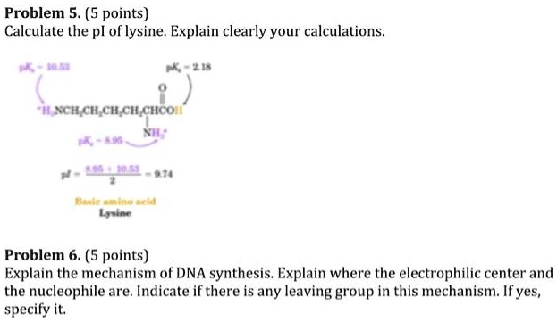 SOLVED: Problem 5. (5 points) Calculate the pl of lysine: Explain ... SOLVED: Problem 5. (5 points) Calculate the pl of lysine: Explain ...