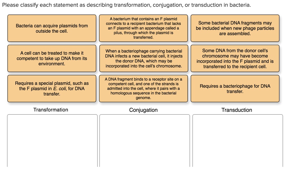 SOLVED: Please classify each statement as describing transformation ...